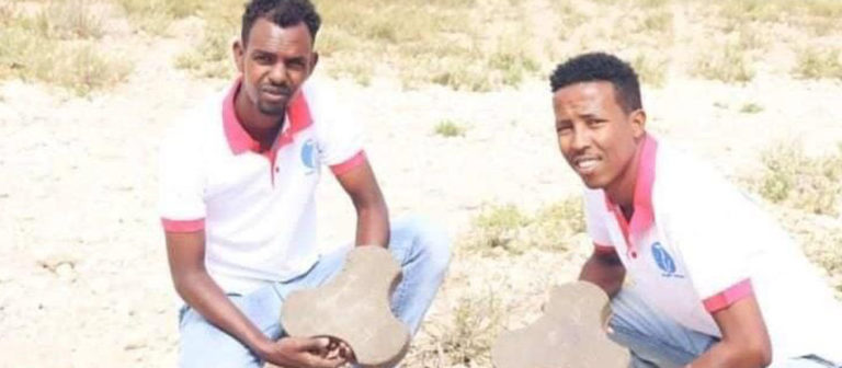 Jimcale's Journey: Sustaining the dream of a better Africa - African Leadership University